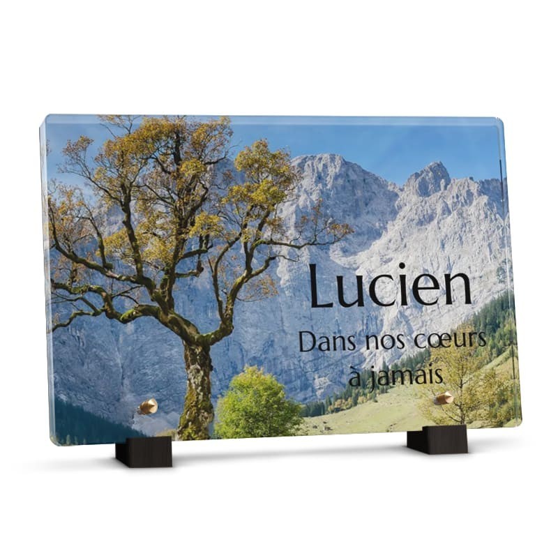 Plaque avec un paysage de montagne avec un arbre